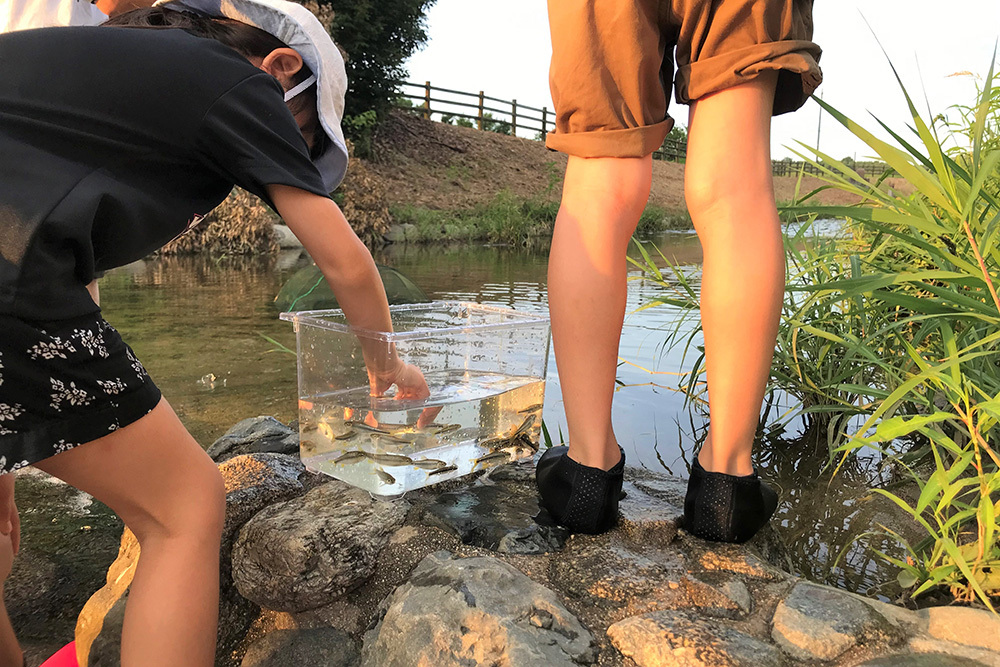 What can you catch in the Asuka river! - Yamato-Asuka New Tourism