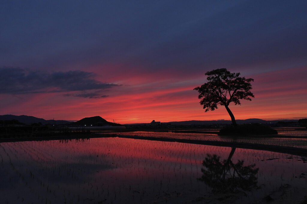 Sunset spot in Asuka #1 - Yamato-Asuka New Tourism